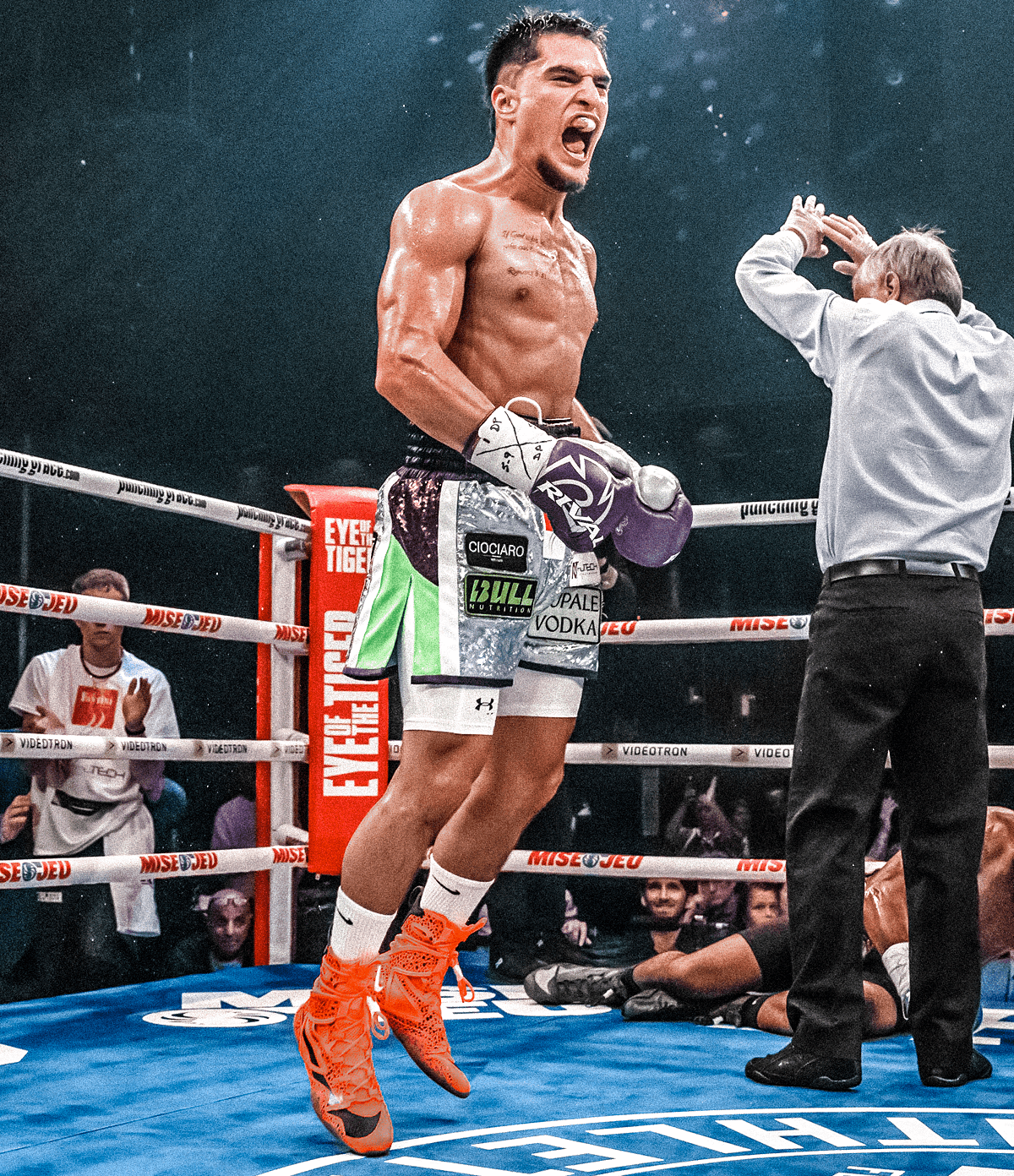 Combat de boxe en direct et sur demande | Punching Grace